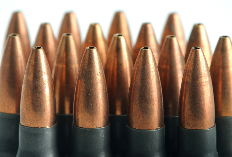 Your Guide For Need to Know Bullet Information – Homesteader Depot