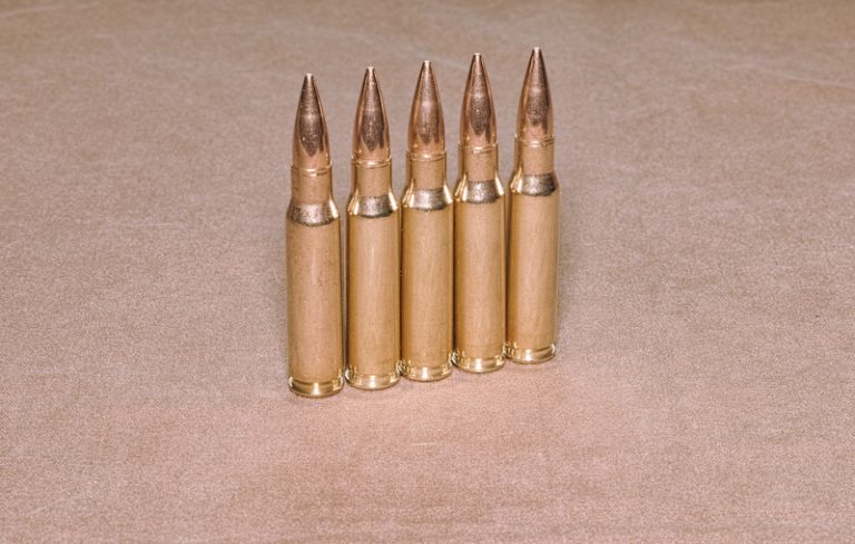 Your Guide For Need to Know Bullet Information – Homesteader Depot