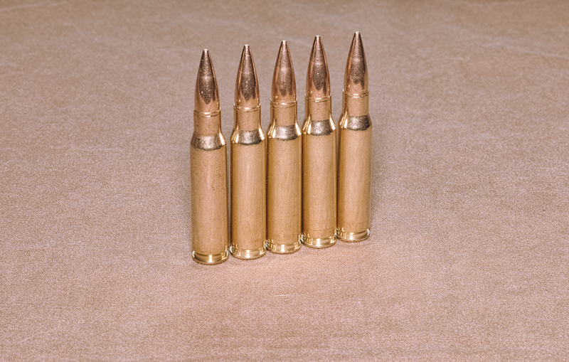 Your Guide For Need to Know Bullet Information – Homesteader Depot