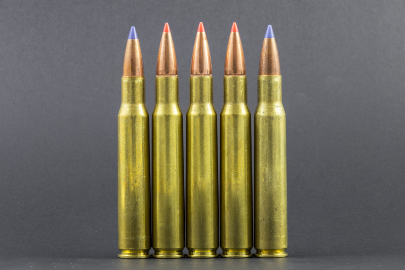 Your Guide For Need to Know Bullet Information - Homesteader ...